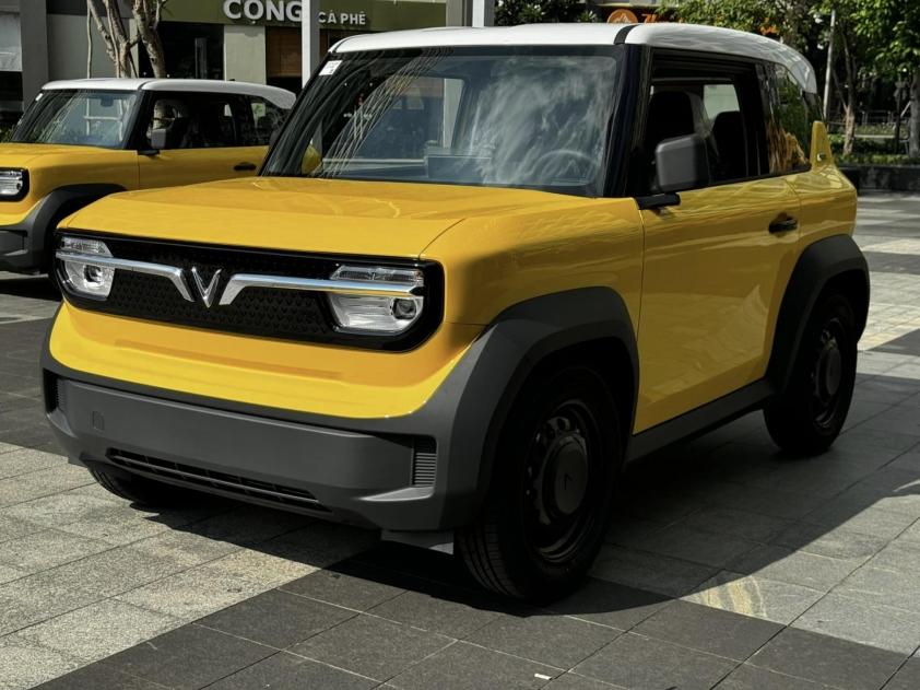 Người dùng khoe hình ảnh những chiếc VinFast VF 3 đầu tiên được cấp ...