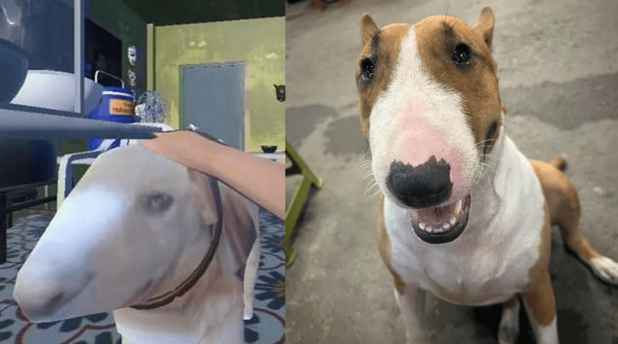 Chú chó bất ngờ nổi tiếng vì giống Cậu Vàng trong Tiệm Phở Anh Hai