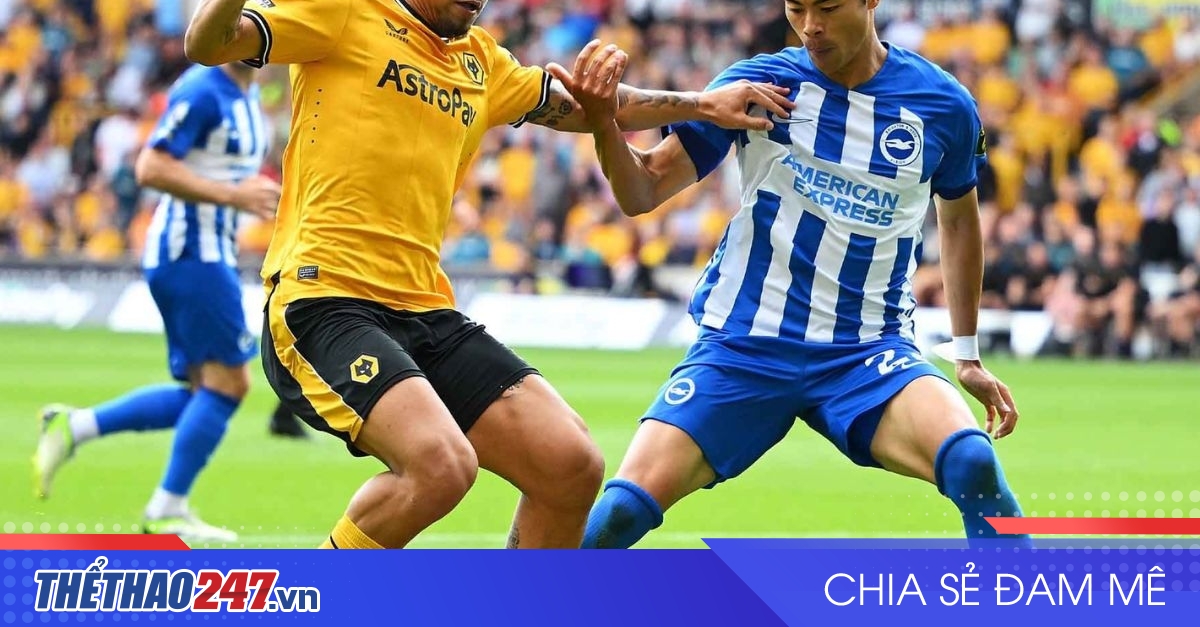 Nhận định Wolves vs Brighton: Kịch bản khó lường