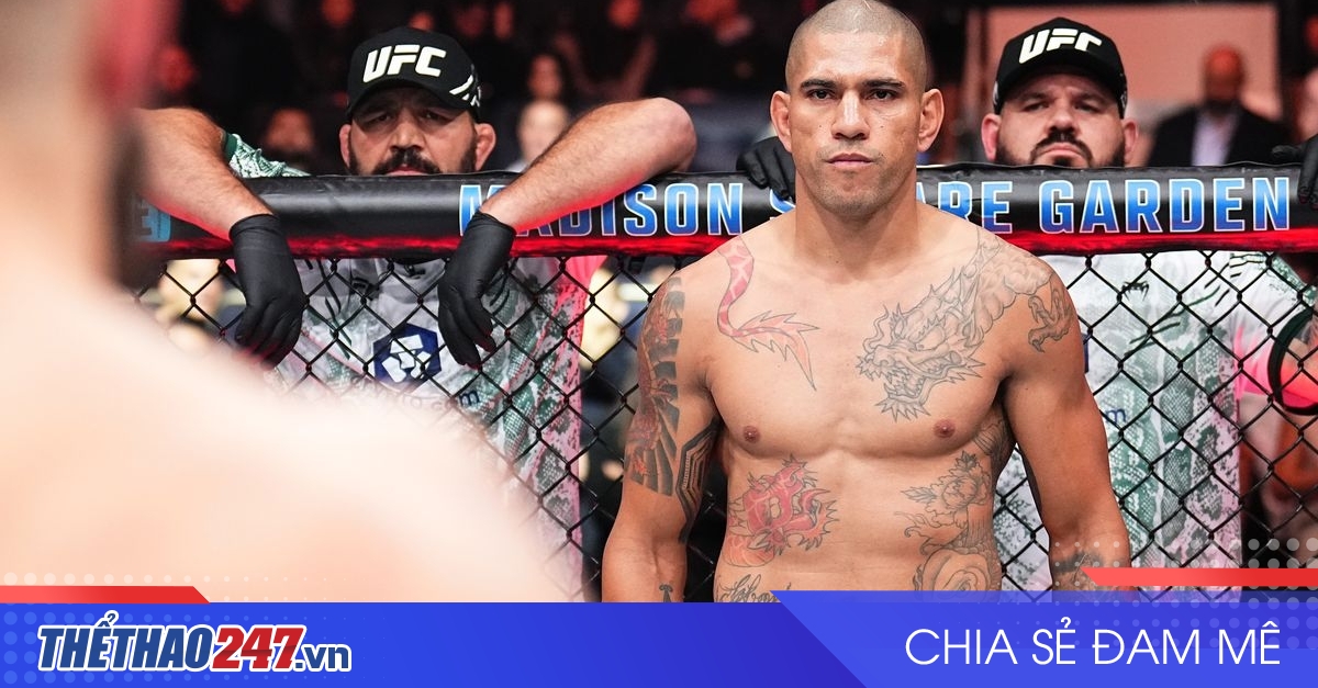 Alex “Potan” Pereira: Câu chuyện cổ tích ngoài đời thật về sự kiên trì ...