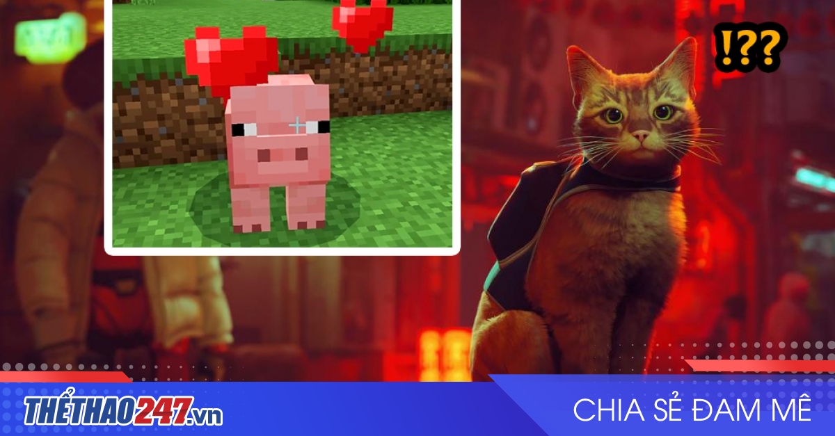 Bản mod biến chú mèo Stray thành con heo trong Minecraft