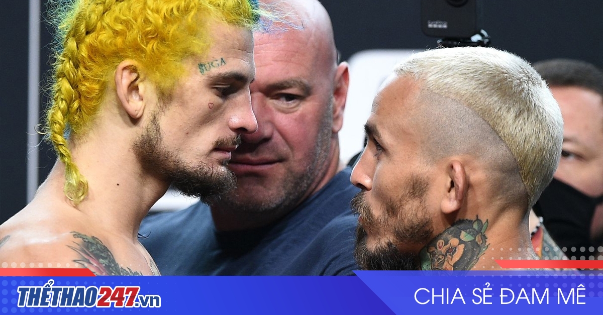 UFC 299: Tâm điểm cuộc tái đấu giữa Sean O'Malley vs Chito Vera