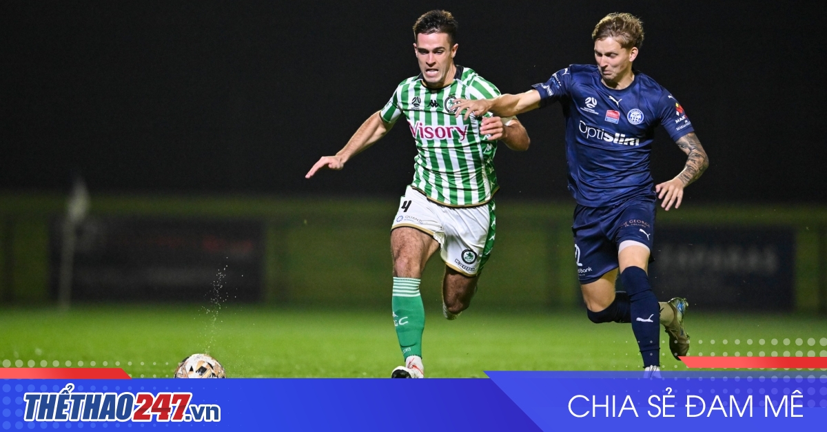 Nhận định Melbourne Knights vs Green Gully: Chủ nhà tay trắng